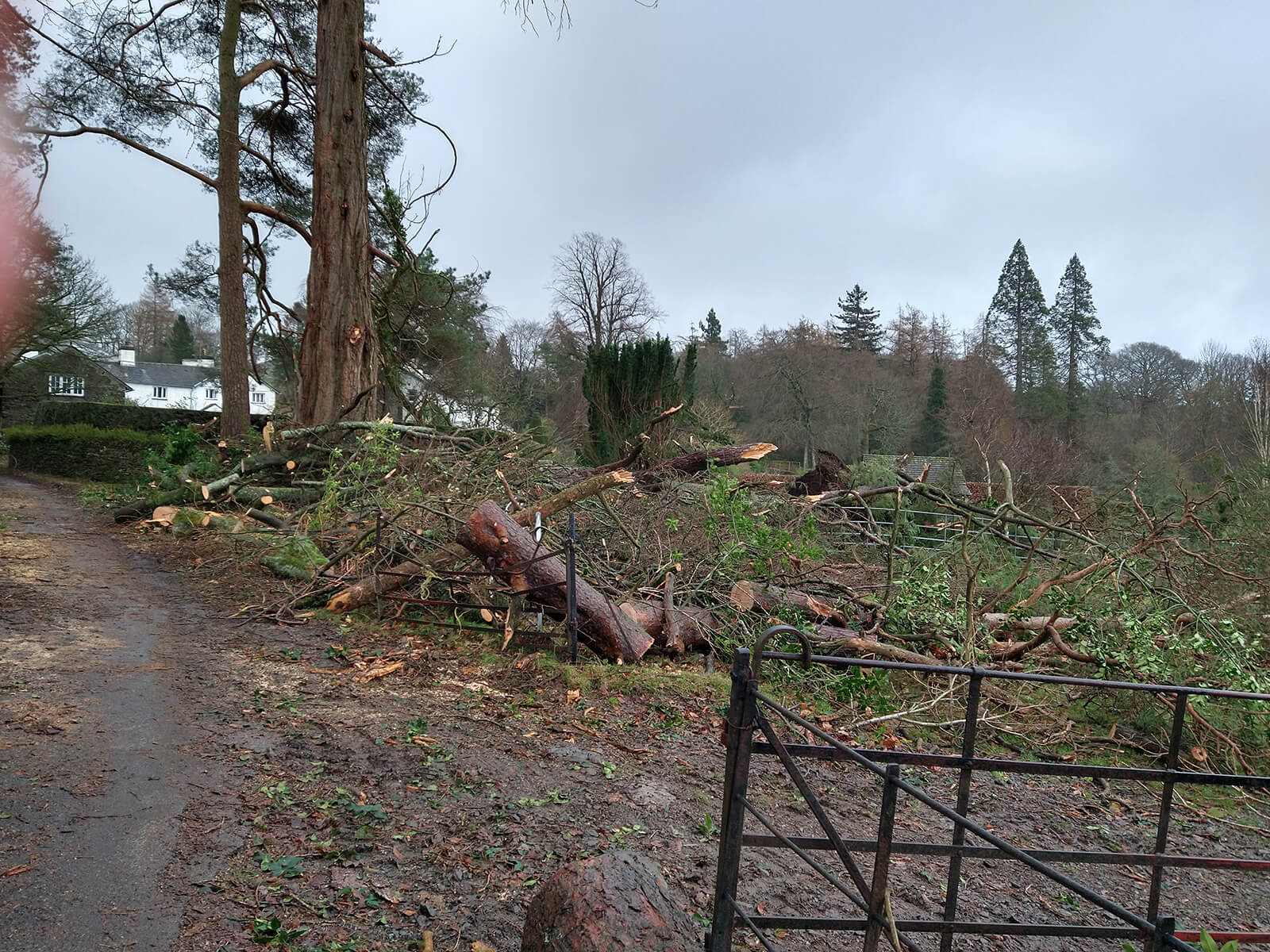 Matson Ground - Our Story