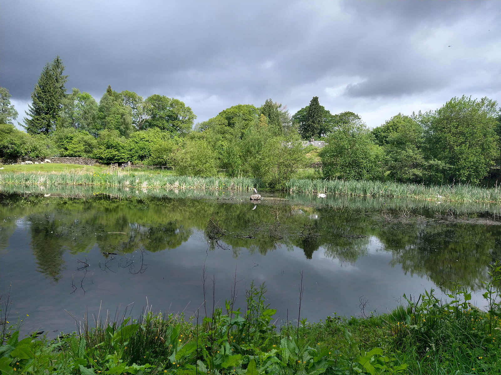 Matson Ground - Our Story